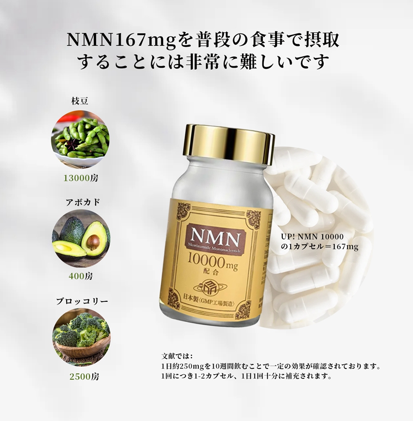 UP！NMN 10000-大衍会社